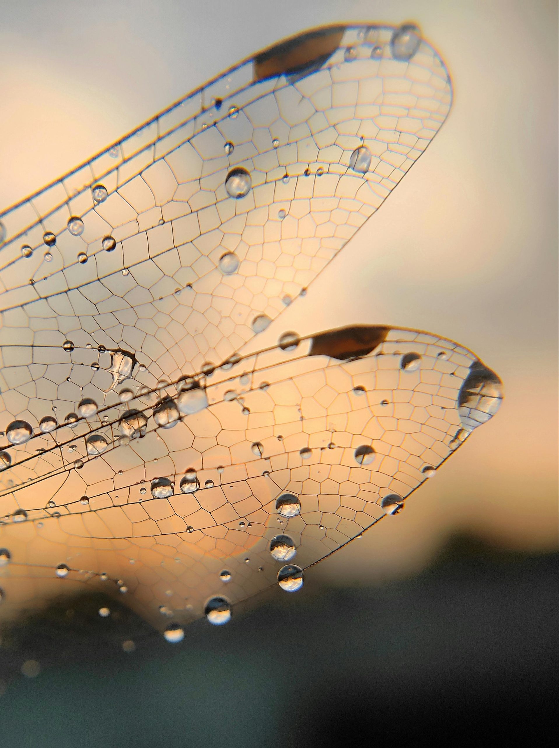 What is Contemplation?: An Interview With Jordan Quaglia - Journal of ...